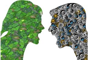 Environment Vs Development