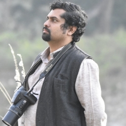 Ehretia Tree and the Birds of Delhi