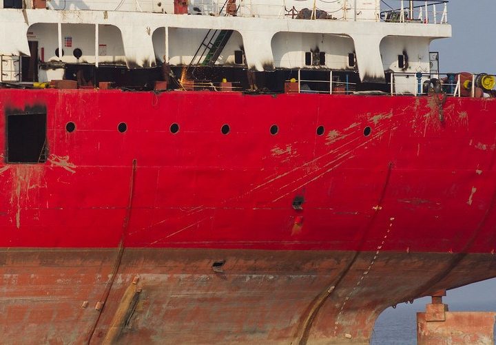 Home » Delhi Greens Blog