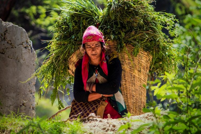 Ecofeminism in the time of climate change