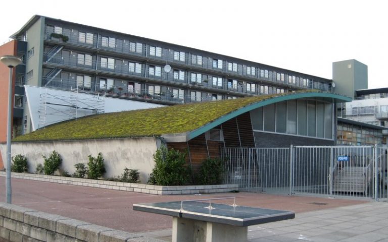 How sustainable are green roofs in Indian cities